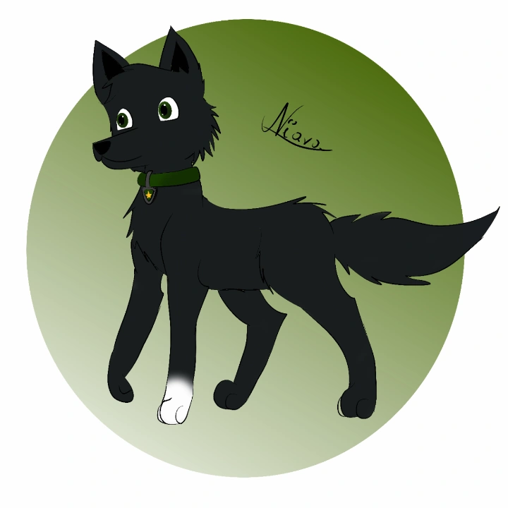 Matt | Psi Patrol Według Fanów Wiki | Fandom