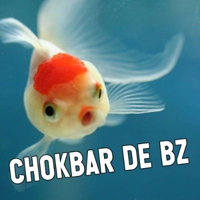 Liste des personnages | Wiki PSMP | Fandom