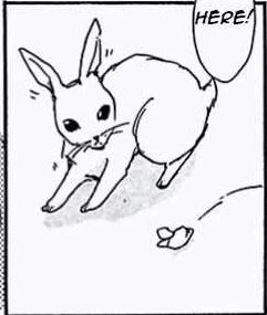 Rabbit (species) | Pet Shop of Horrors Wiki | Fandom