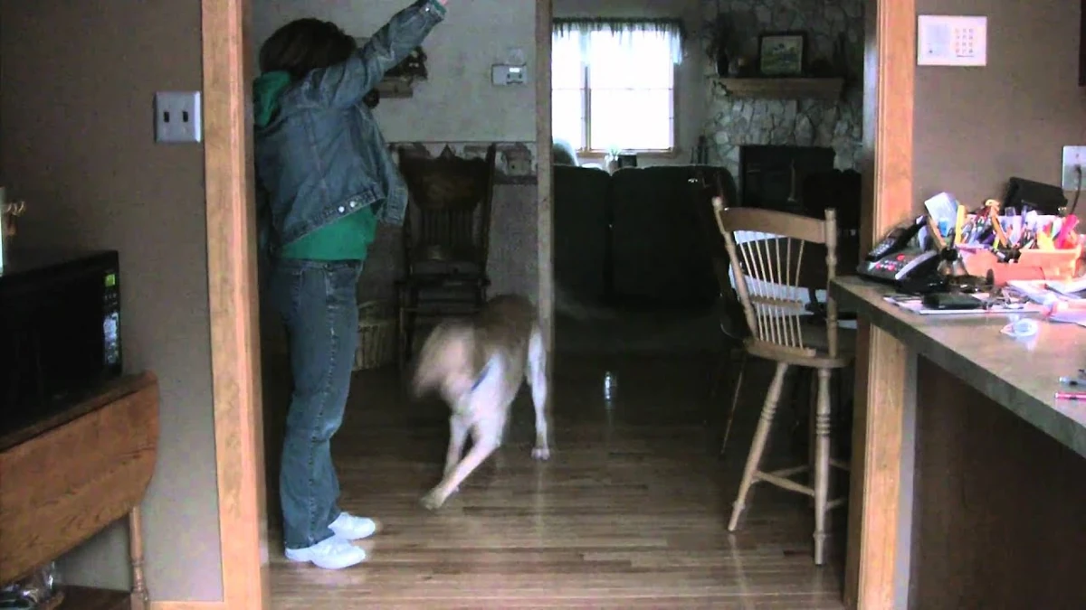 Jumpin' Johnny | Psycho kid Wiki | Fandom