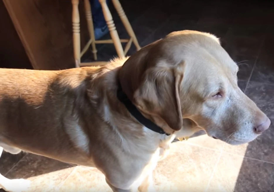 Poopyjohn/Gallery | Psycho kid Wiki | Fandom