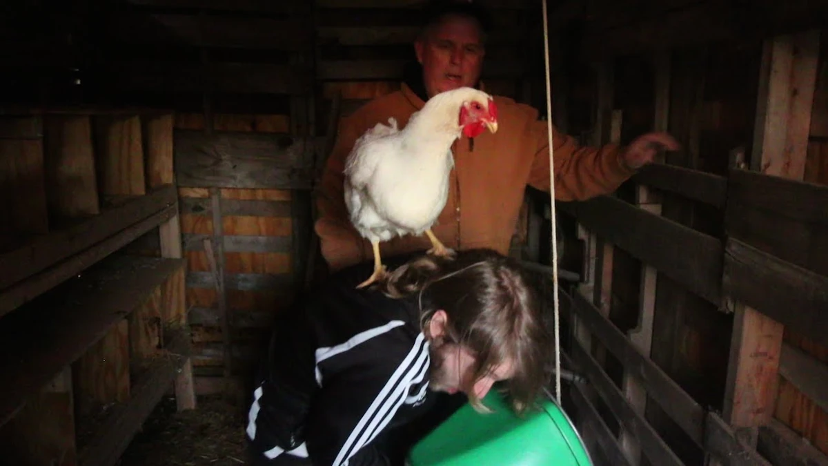 DON'T BE A CHICKEN! | Psycho kid Wiki | Fandom