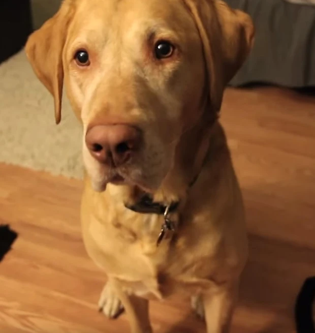 Poopyjohn | Psycho kid Wiki | Fandom