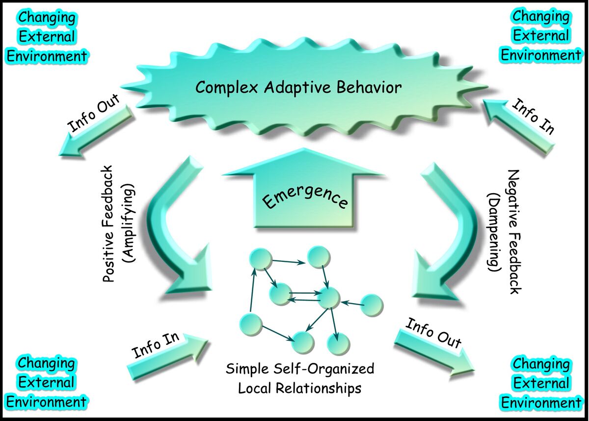 Complex Adaptive System Psychology Wiki Fandom