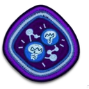 Merit Badges | Psychonauts Wiki | Fandom