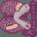Unknown damaged brain | Psychonauts Wiki | Fandom