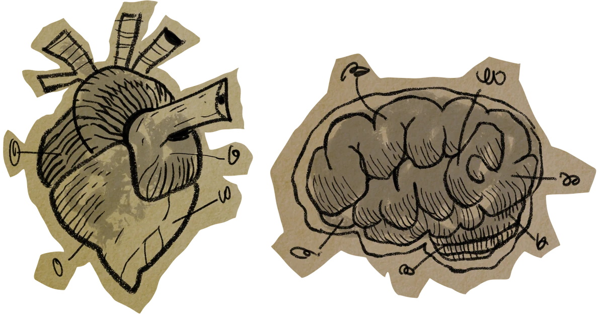 Mind Chart and Heart Chart | Psychonauts Wiki | Fandom