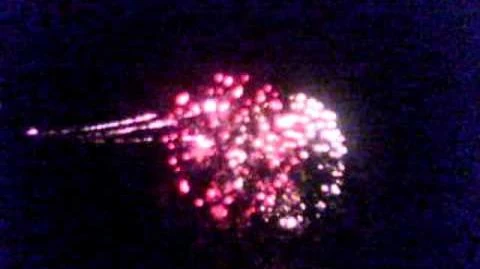 Pete watches fireworks/video | Petethecatadventures Wiki | Fandom