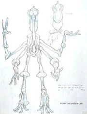 Xexto | Star Wars Wiki em Português | Fandom