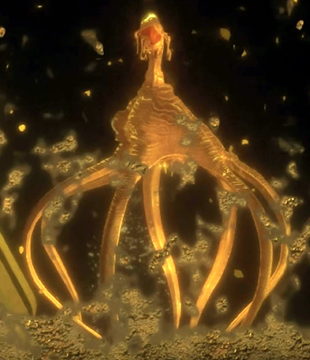 Dianoga | Star Wars Wiki em Português | Fandom