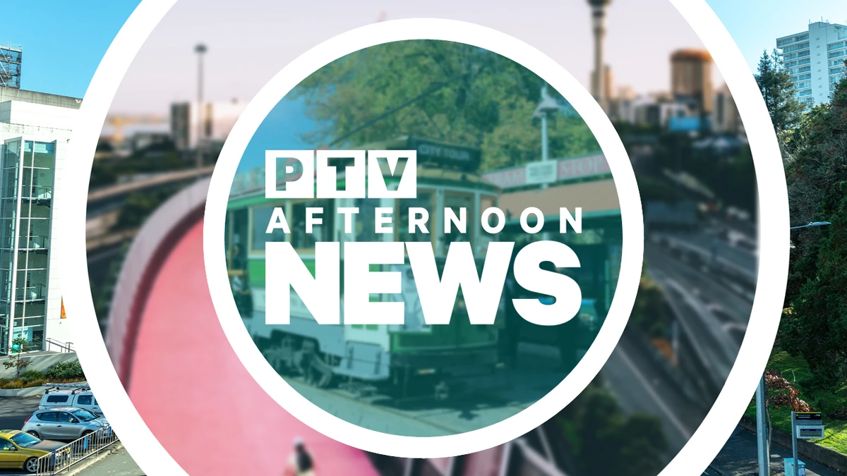 PTV Afternoon News | PTV Network New Zealand Wiki | Fandom
