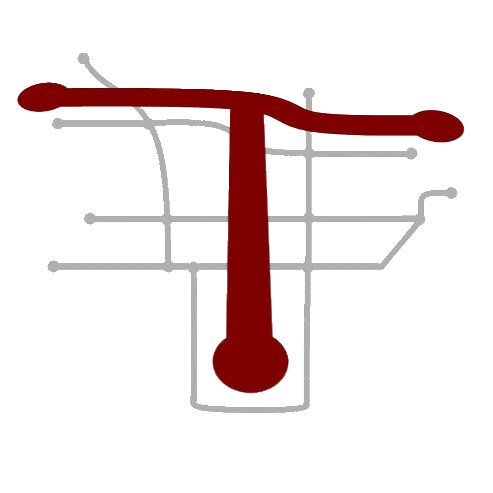 Toronto & Region Transportation Authority | ROBLOX Public Transit Wiki ...