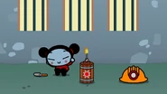 Ninjail Birds/Image Gallery | Pucca | Fandom