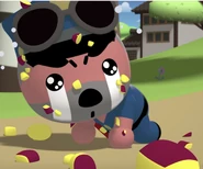 Bruce | Pucca | Fandom