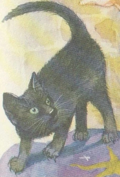 Timothy Carchamouse | Puddle Lane Wiki | Fandom