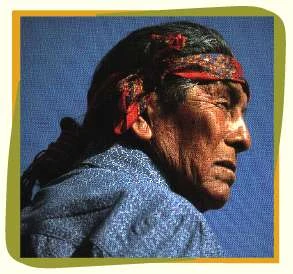 Comanche | Wiki America | Fandom