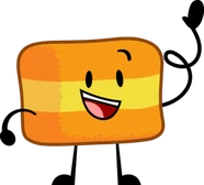 Object Invasion Camp Wiki | Fandom