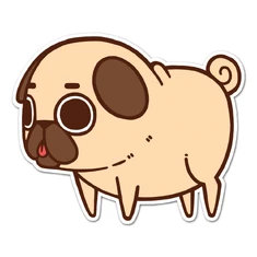 Pug | Pug Philosophy Wiki | Fandom