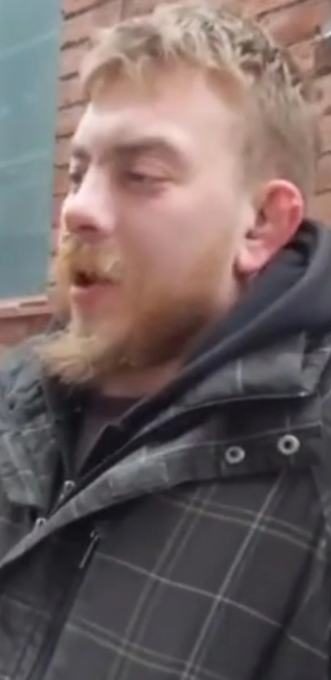 Kukkakaalikorva | Pulsu Wiki | Fandom