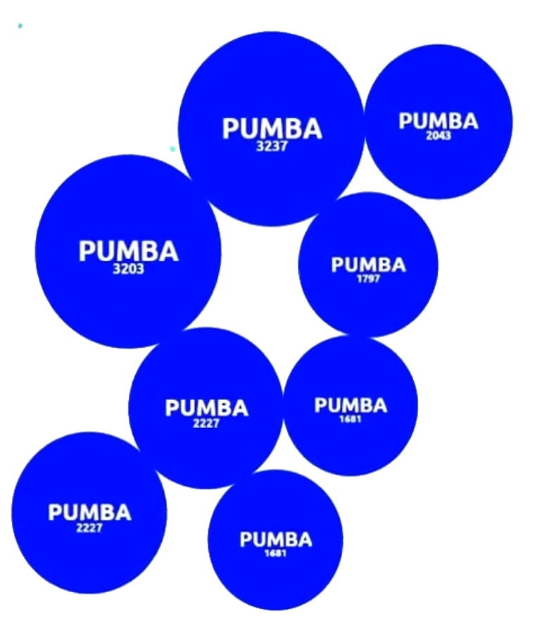 8 Pumbas | Pumba channel Wiki | Fandom