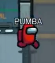 Variations of Pumba (among us) | Pumba channel Wiki | Fandom