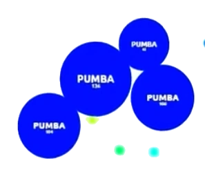 Pumbas | Pumba channel Wiki | Fandom