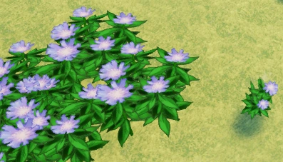 Stokesia | Pumpkin Days Wiki | Fandom