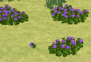 Violet | Pumpkin Days Wiki | Fandom