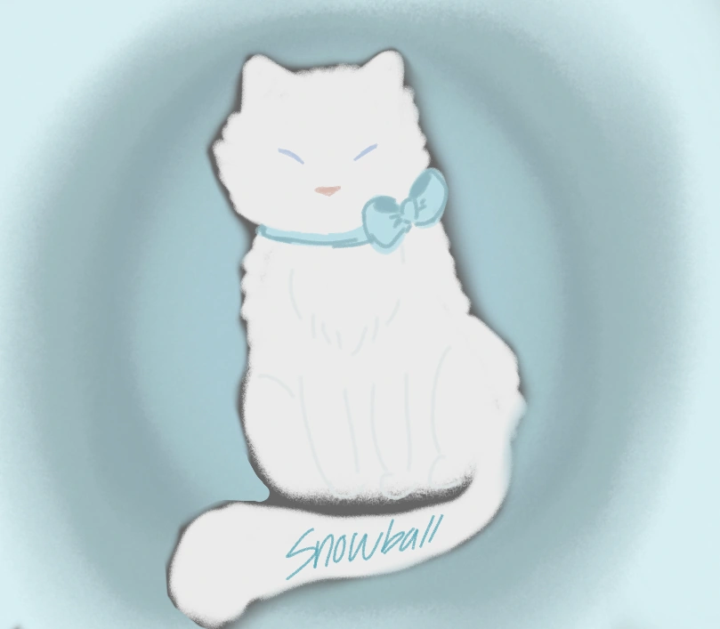 Snowball the Cat | Pumpkin the cat Wiki | Fandom