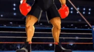 Piston Hondo | Wiki Punch-Out!! | Fandom