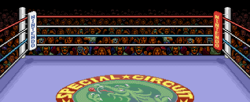 Special Circuit | Punch-Out!! Wiki | Fandom