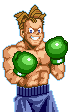 Little Mac | PUNCH OUT Wiki | Fandom