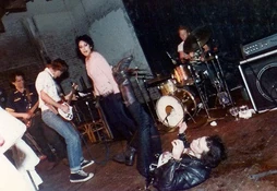 The Bags | Punk Wiki | Fandom