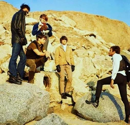 Love | Punk Wiki | Fandom