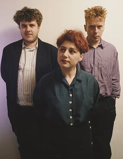 Category:Ethereal wave bands | Punk Wiki | Fandom