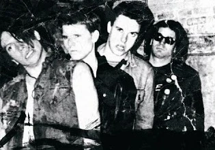 The Groinoids | Punk Wiki | Fandom