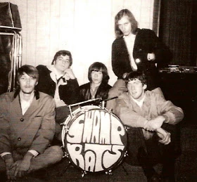 Swamp Rats | Punk Wiki | Fandom