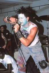 The Vandals | Punk Wiki | Fandom