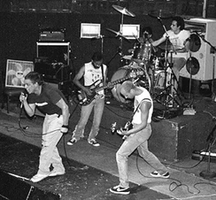 MDC | Punk Wiki | Fandom