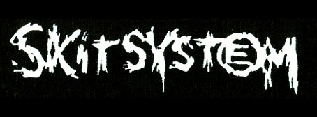 Skitsystem | All Punk Wiki | Fandom