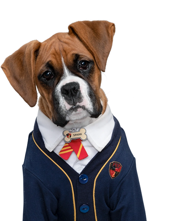 Spark | Pup Academy Character Wiki | Fandom