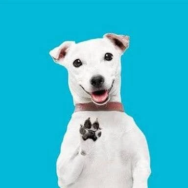 Cablin | Pup Academy Fanfiction Wiki | Fandom