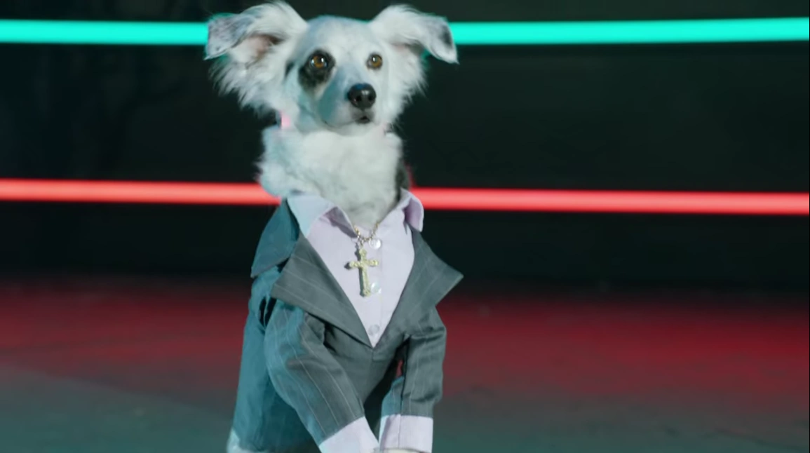 Julio/Gallery | Pup Star Wiki | Fandom