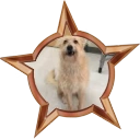 Pup star 1,2,3,4 | Pup Star Wiki | Fandom