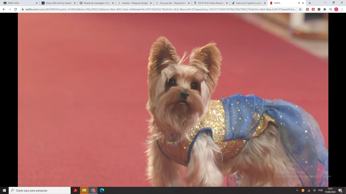 Tiny & Scrappy | Pup Star Wiki | Fandom