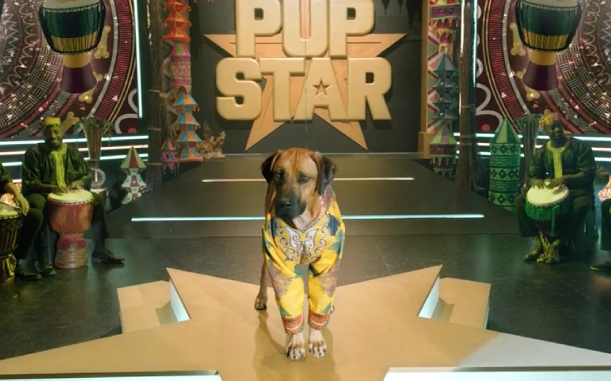 Mobo world tour | Pup Star Wiki | Fandom