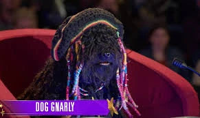 Dog Gnarly | Pup Star Wiki | Fandom