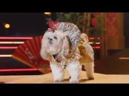 Ming | Pup Star Wiki | Fandom