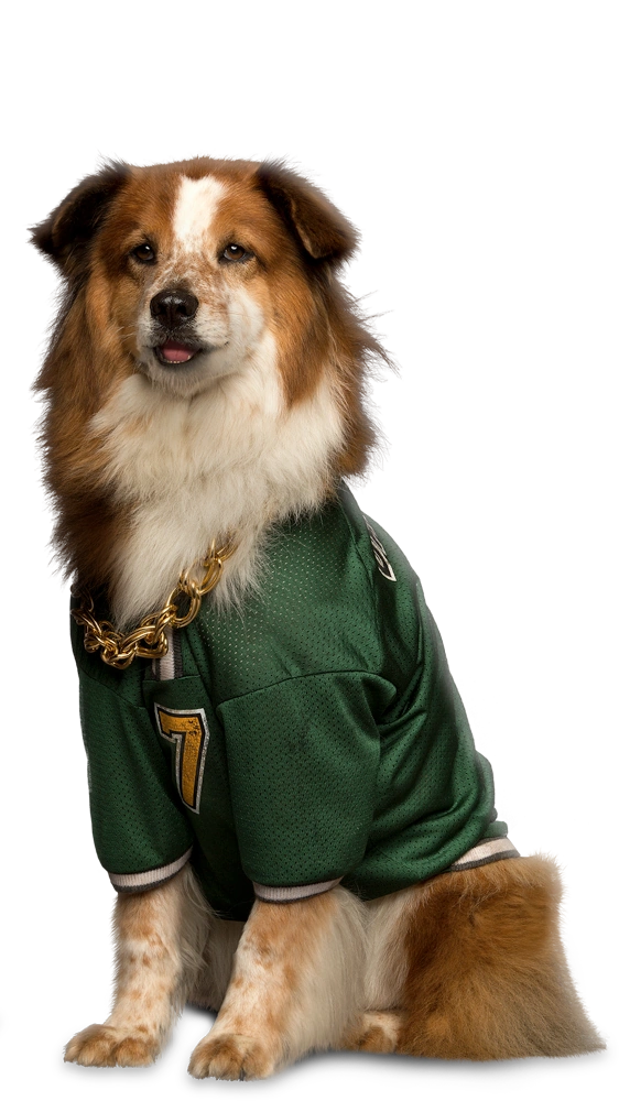 Ruff | Pup Star Wiki | Fandom