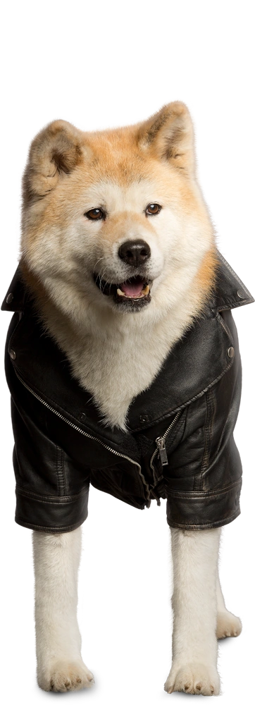 Bark pup star | Pup Star Wiki | Fandom